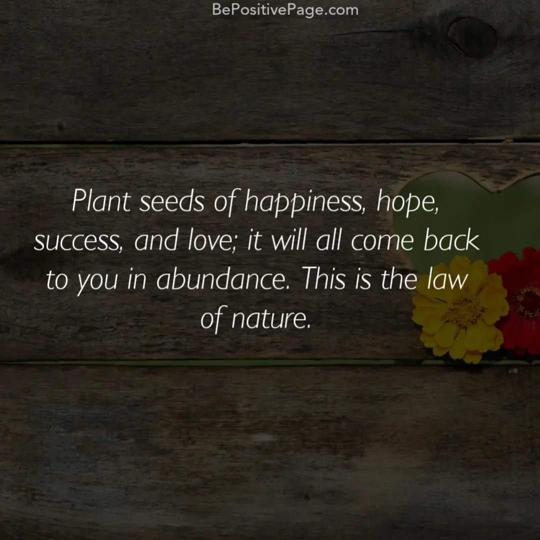 50 Powerful Abundance Quotes To Manifest Wealth & Happiness